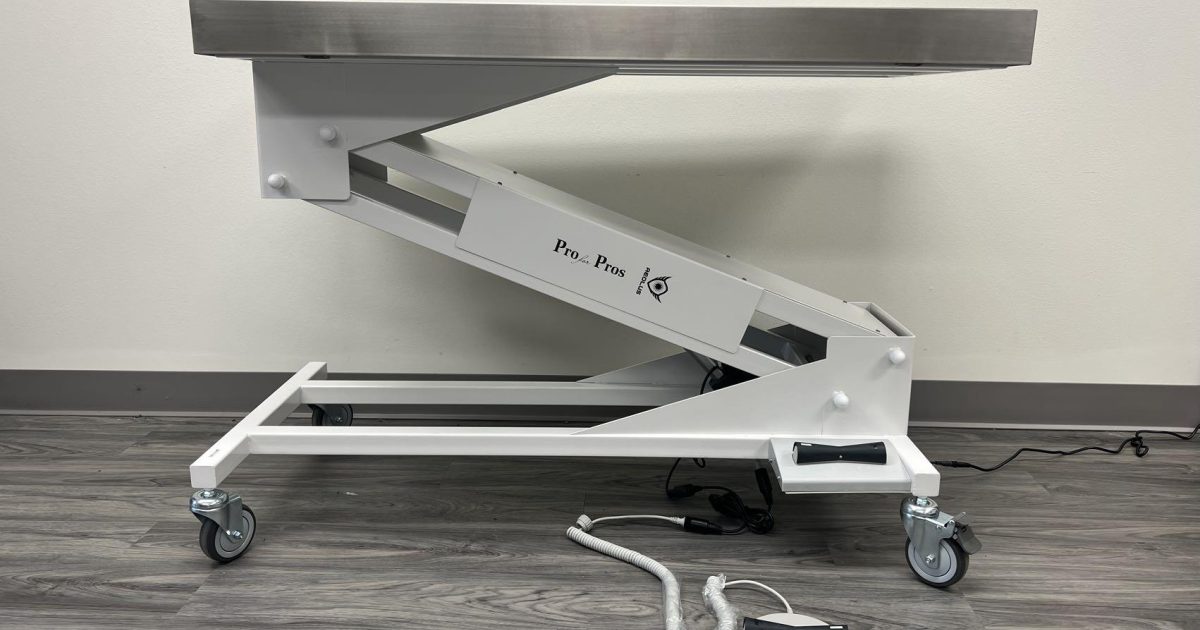 Aeolus Electric Lift Big Z Veterinary Exam Table - Very Low Lift To ...